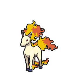 Galopa : Le Guide Complet du Cheval de Feu Rapide et Élégant