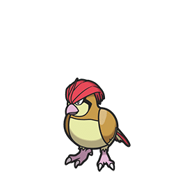 Roucoups - Le Majestueux Oiseau de Kanto dans Pokémon